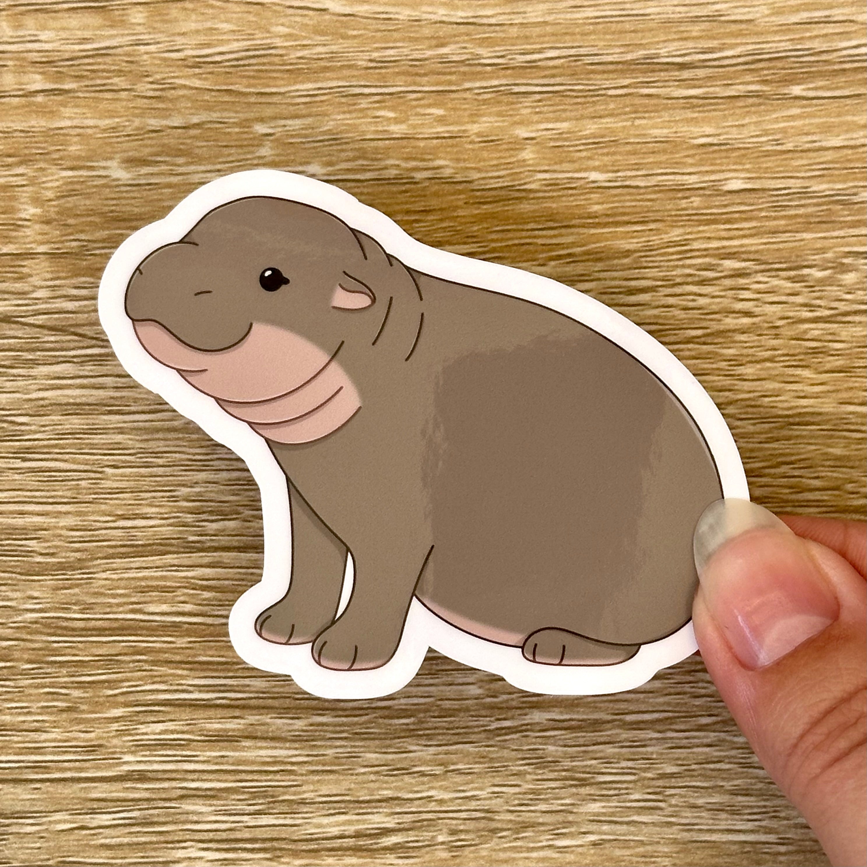 Sitting Baby Pygmy Hippo Sticker – LaRynn Sticker Co.